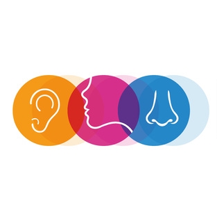 Les ORL au Caire – Adfe Egypte